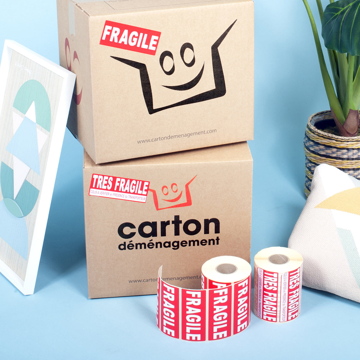 Choisir la Taille Idéale : Guide des Différents Formats de Cartons pou