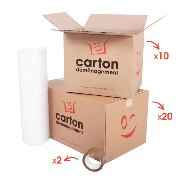 Choisir la Taille Idéale : Guide des Différents Formats de Cartons pou